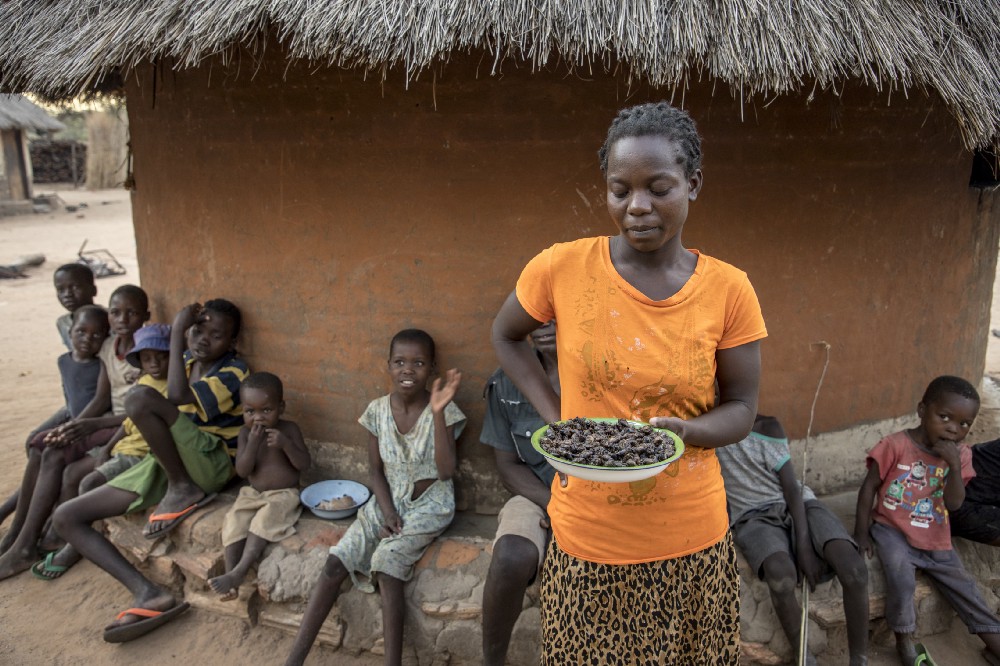 Zim govt hunger scheme targets 2,3 millin people | Humanitarian Post