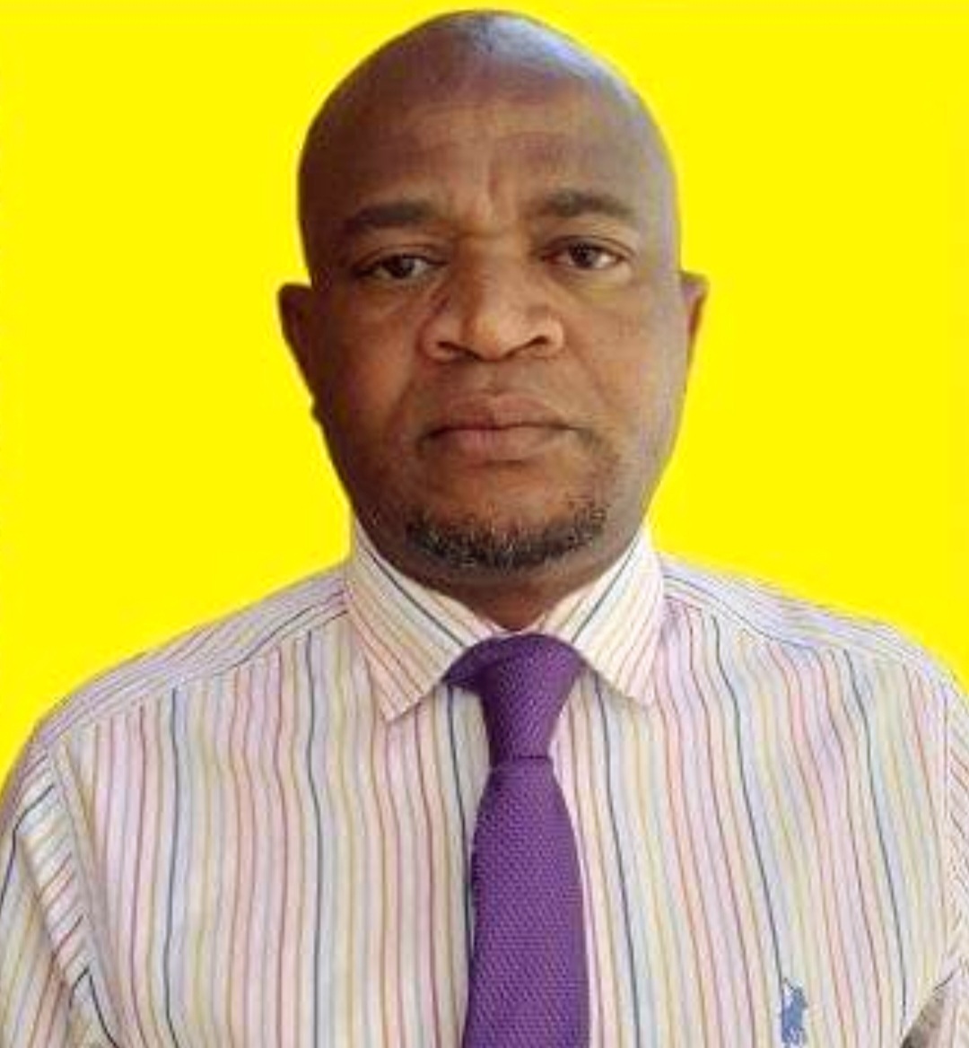 Tshabangu should remain in charge until congress’ ….Promise Mkwananzi ...