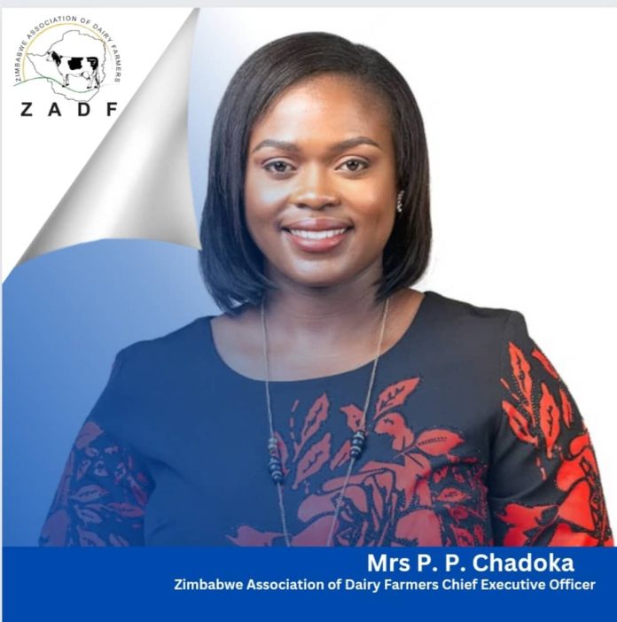 Zim milk output to hits 110 mln litres in 2024 | Humanitarian Post